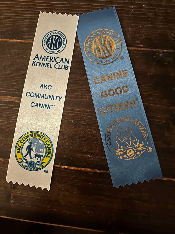 Koda Shines: Earning the AKC Good Citizen and Advanced Good Community ...